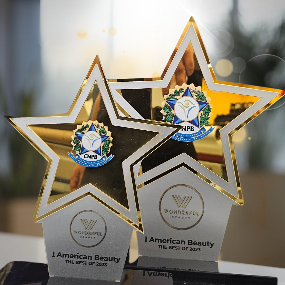 Acrylic Trophy – SpeedMax Signs